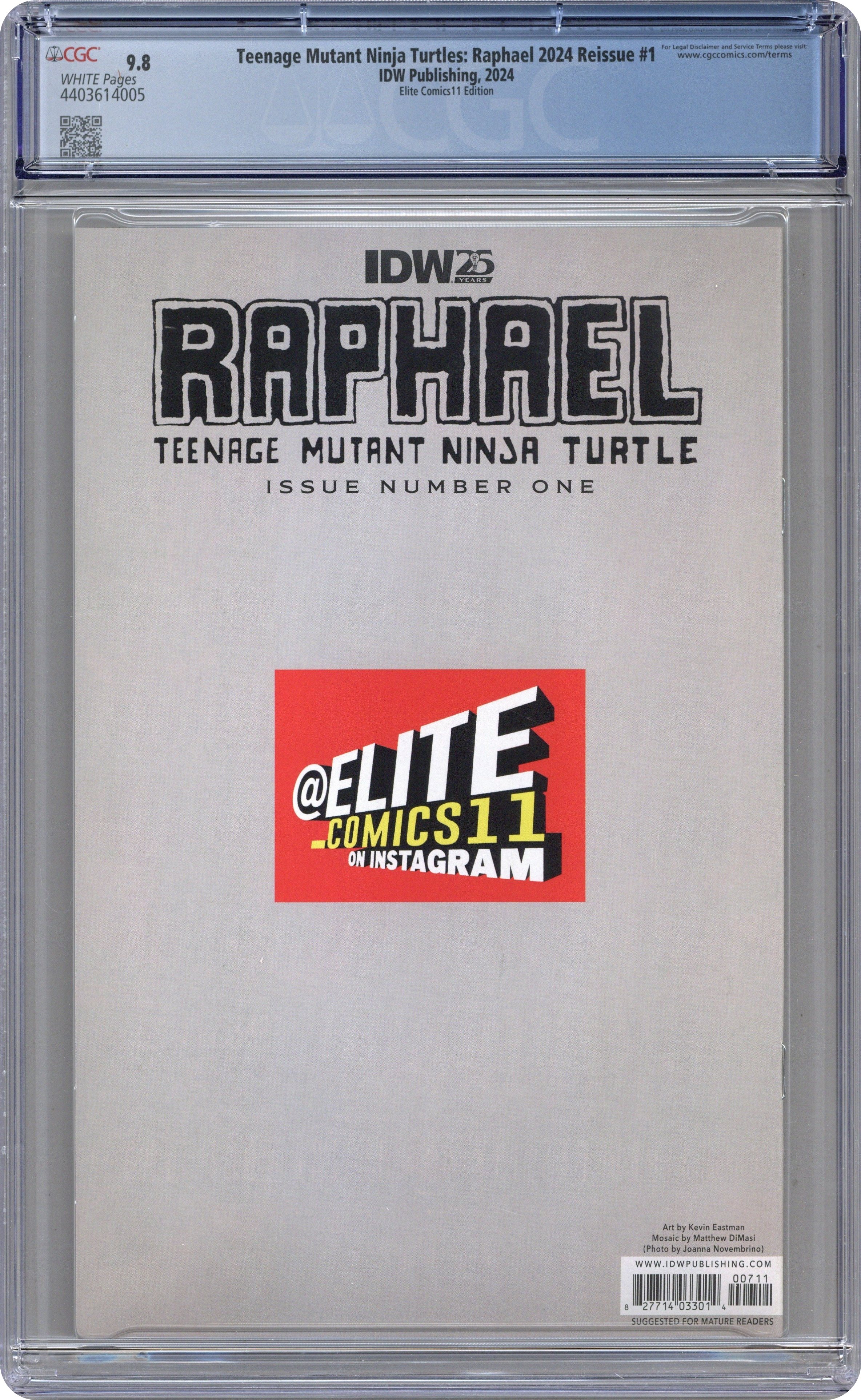 Teenage Mutant Ninja Turtles Micro Series Raphael (2024 IDW ...