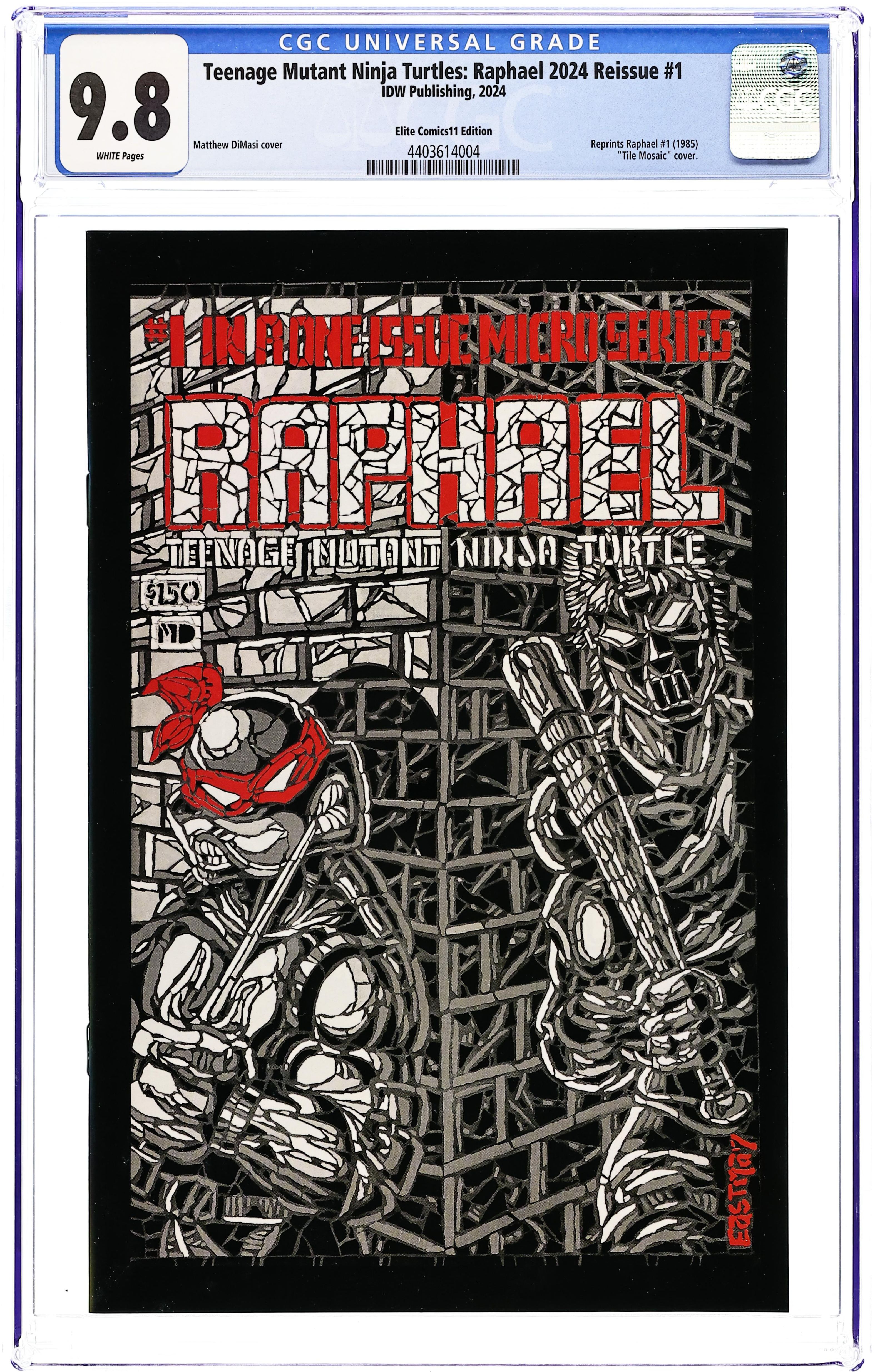 Teenage Mutant Ninja Turtles Micro Series Raphael (2024 IDW ...