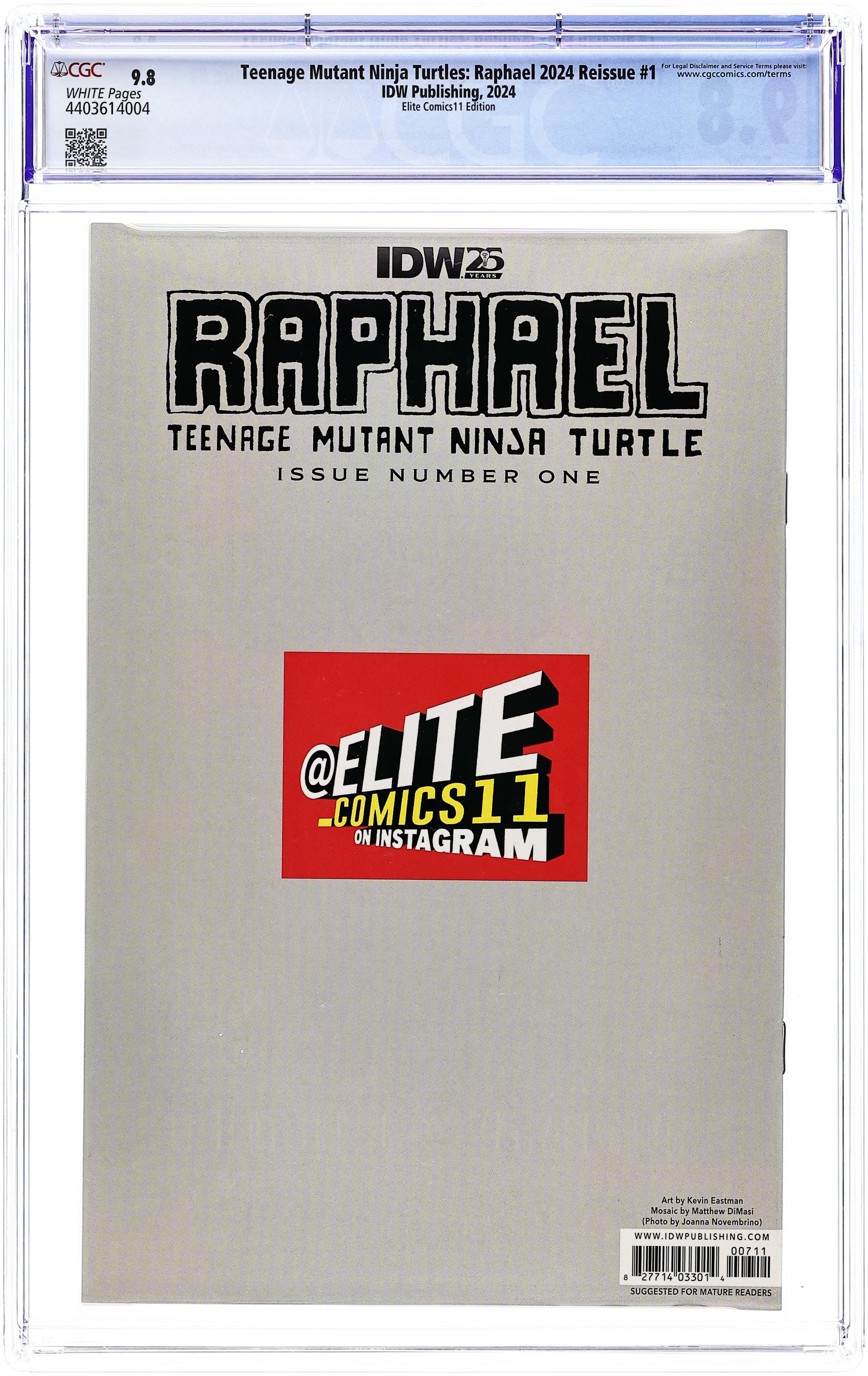 Teenage Mutant Ninja Turtles Micro Series Raphael (2024 IDW ...