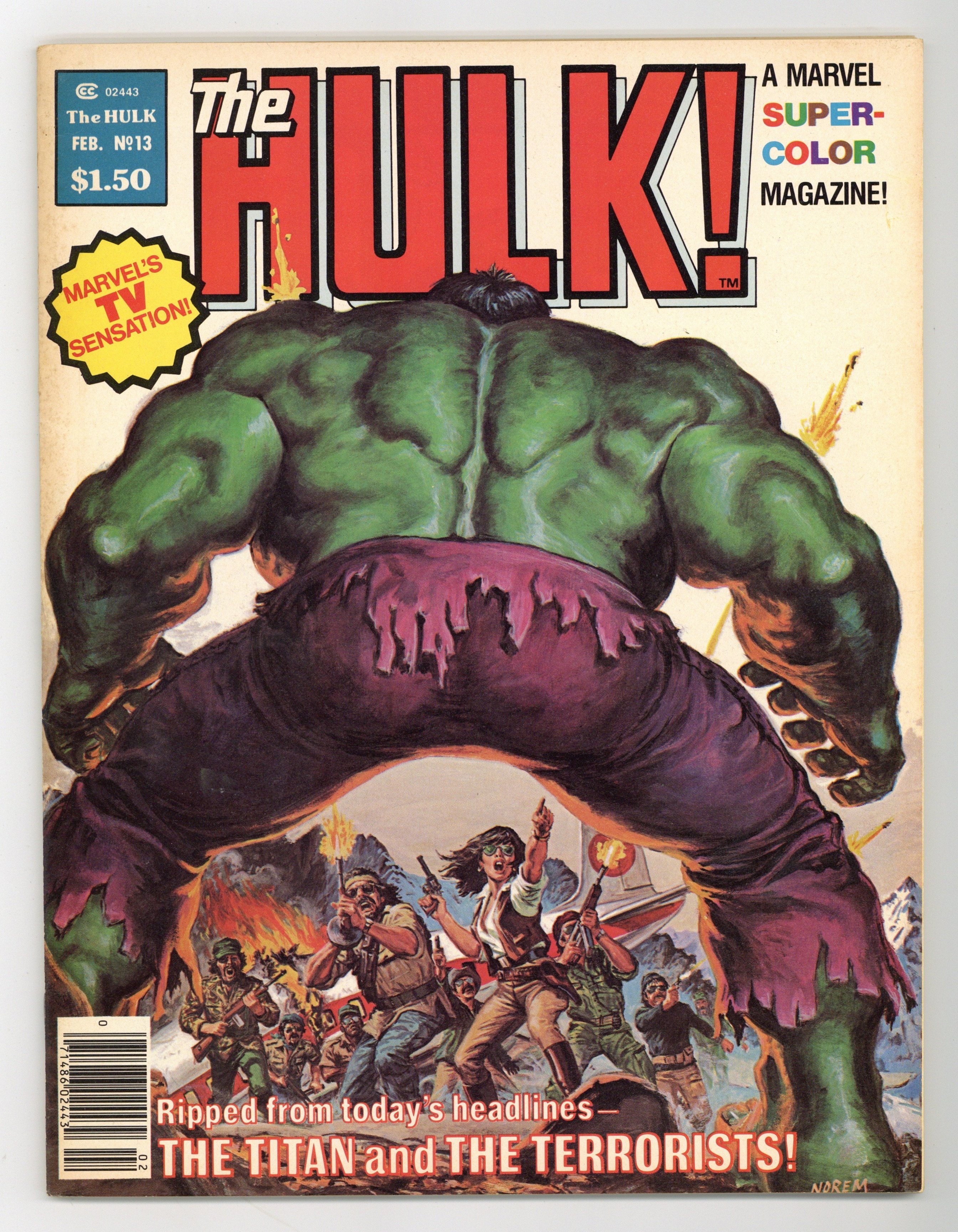 Rampaging Hulk (1977 Magazine) 13 FN 6.0